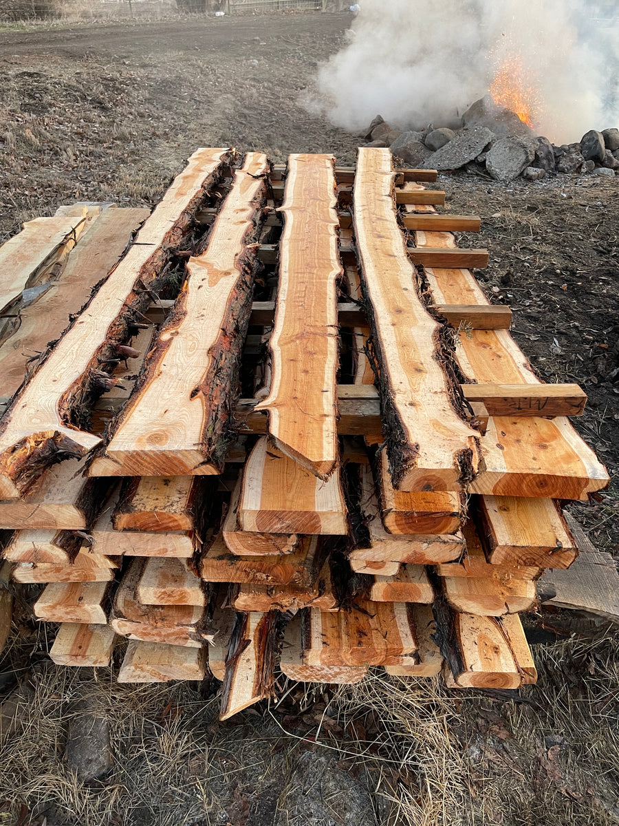 Juniper Slab 1" Thick, 12" to 18" Width with 2 live edges – Juniper Slabs
