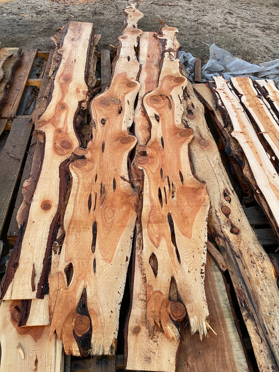 Juniper Slab 1" Thick, 12" to 18" Width with 2 live edges – Juniper Slabs