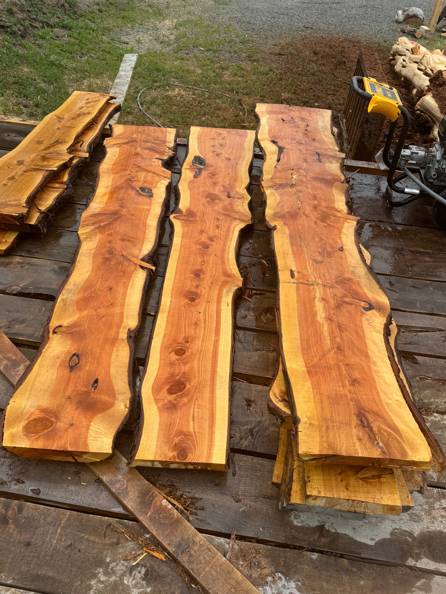 Juniper Slab 1" Thick, 6" to 12" Width wth 2 live edges – Juniper Slabs